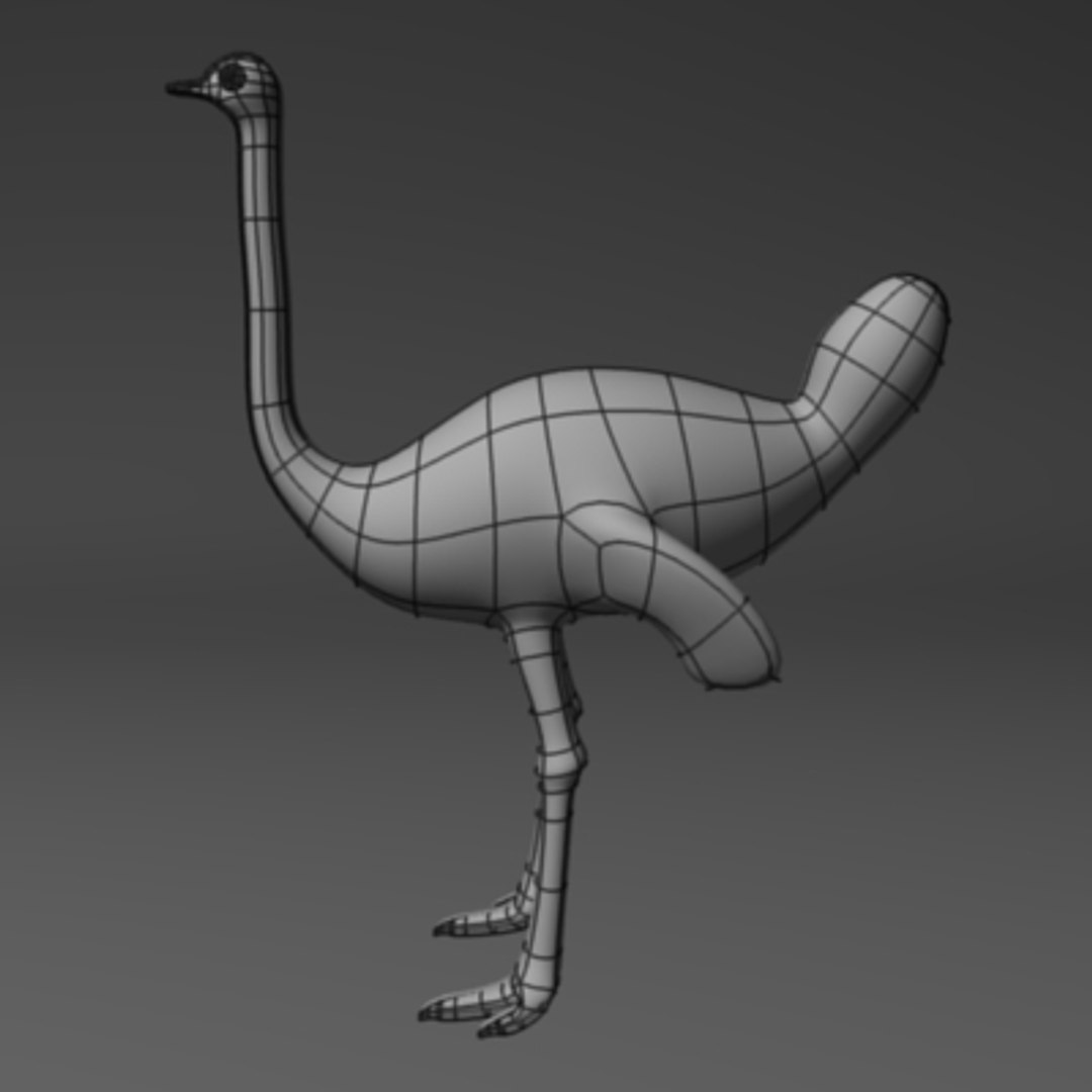 3d Model Ostrich