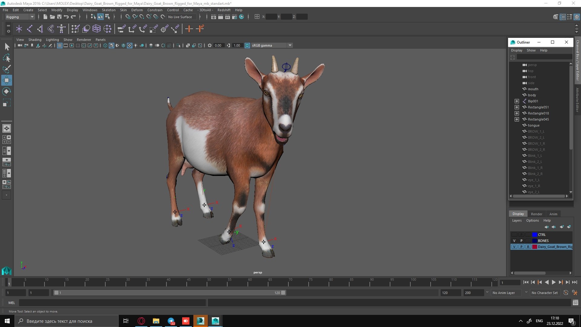 Dairy Goat Brown Rigged For Maya 3D Model - TurboSquid 2006288
