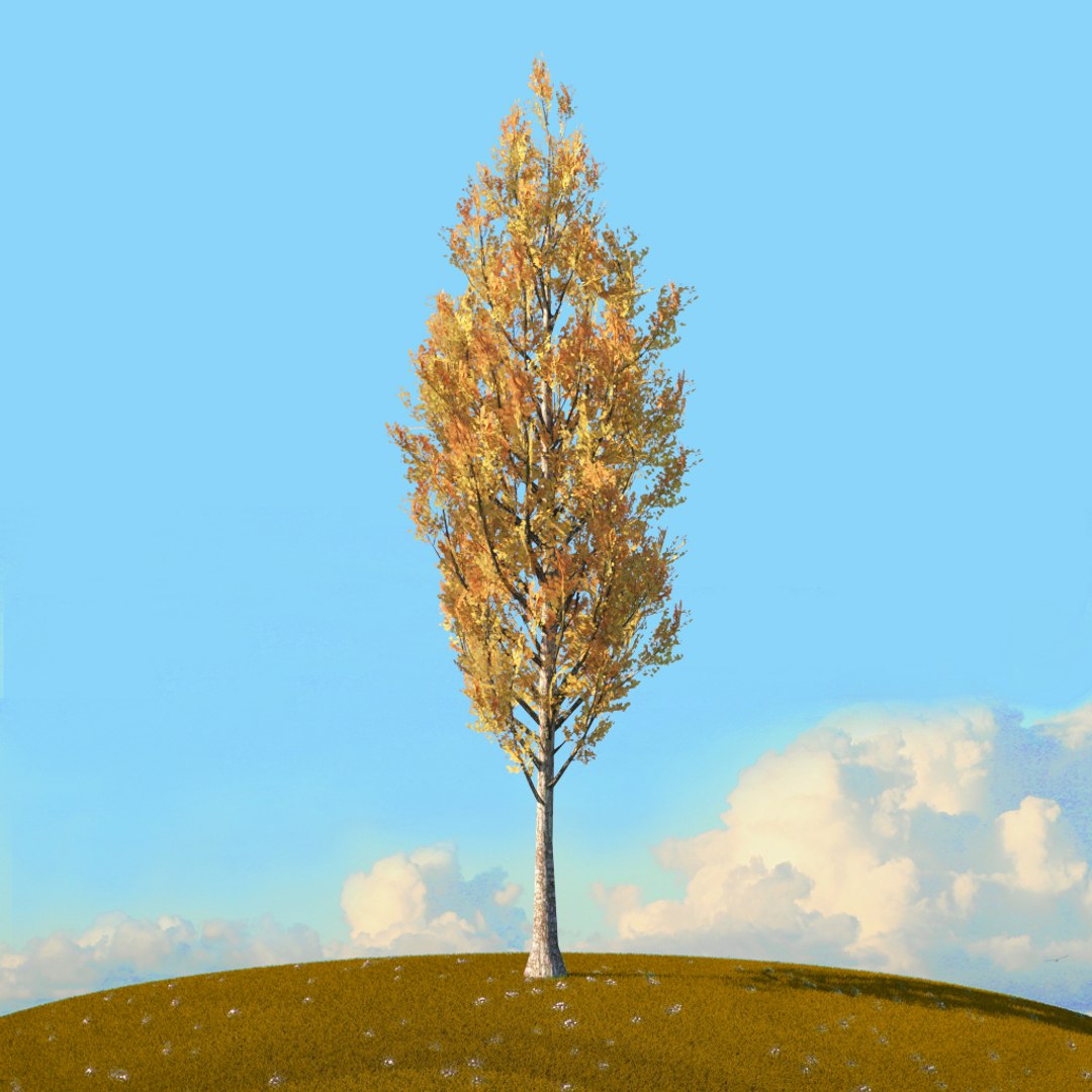 Trees Spring Environment 3D Model - TurboSquid 1655042