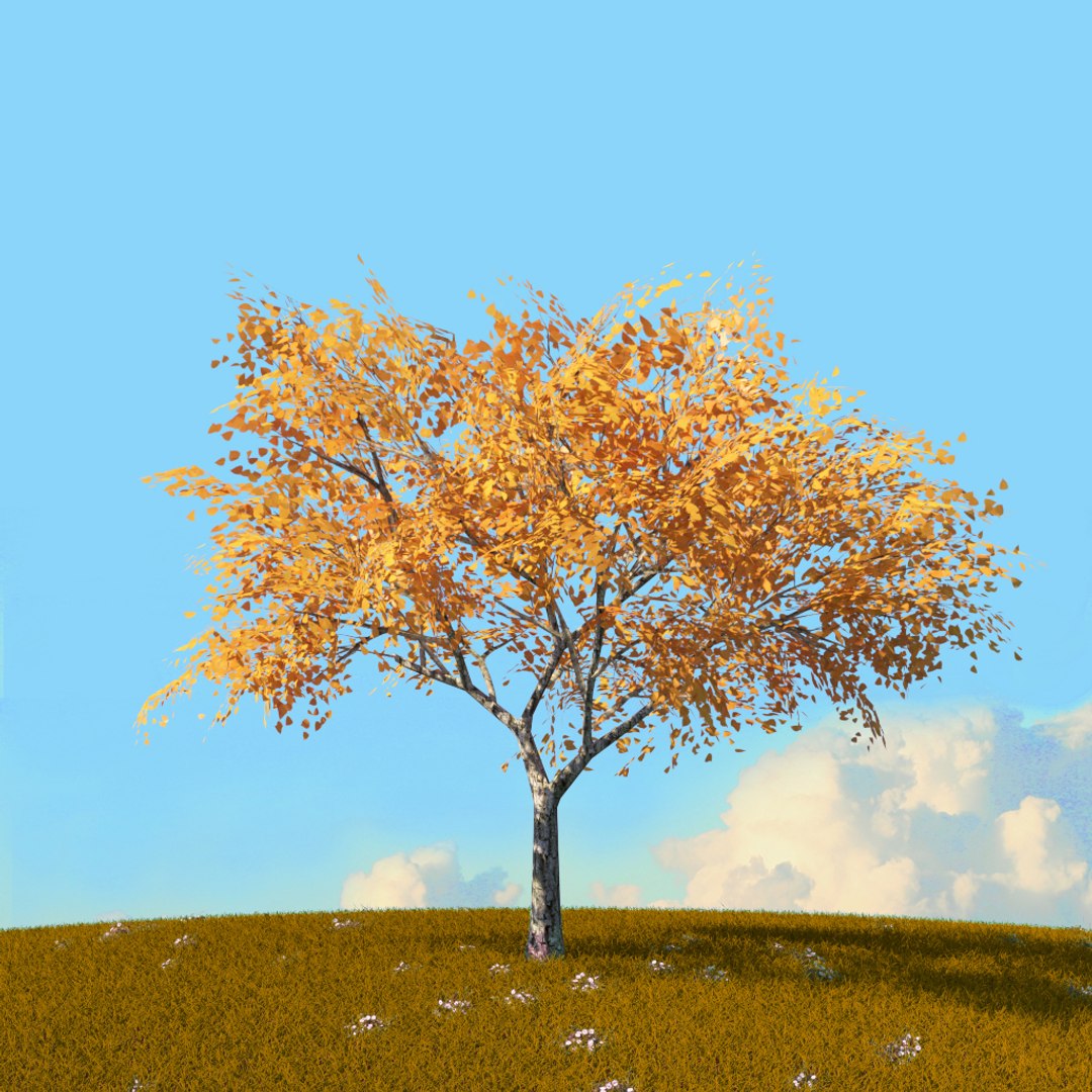 Trees Spring Environment 3D Model - TurboSquid 1655042