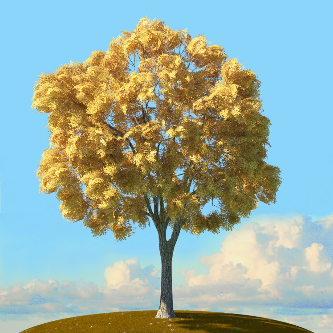 Trees Spring Environment 3D Model - TurboSquid 1655042
