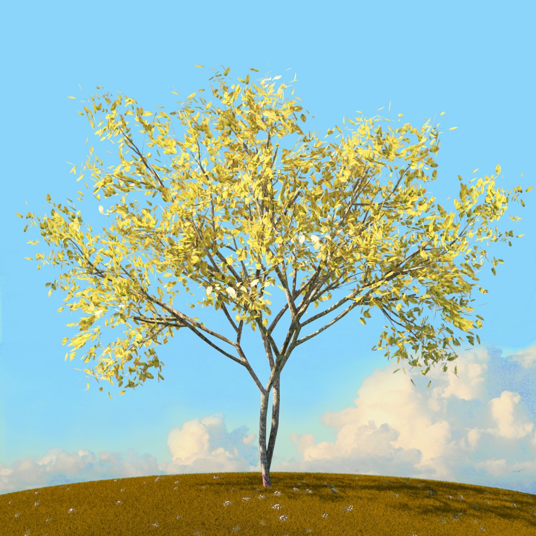 Trees Spring Environment 3D Model - TurboSquid 1655042