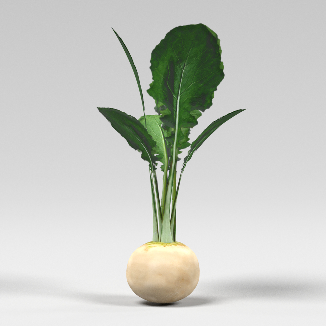 white radish 3d 3ds