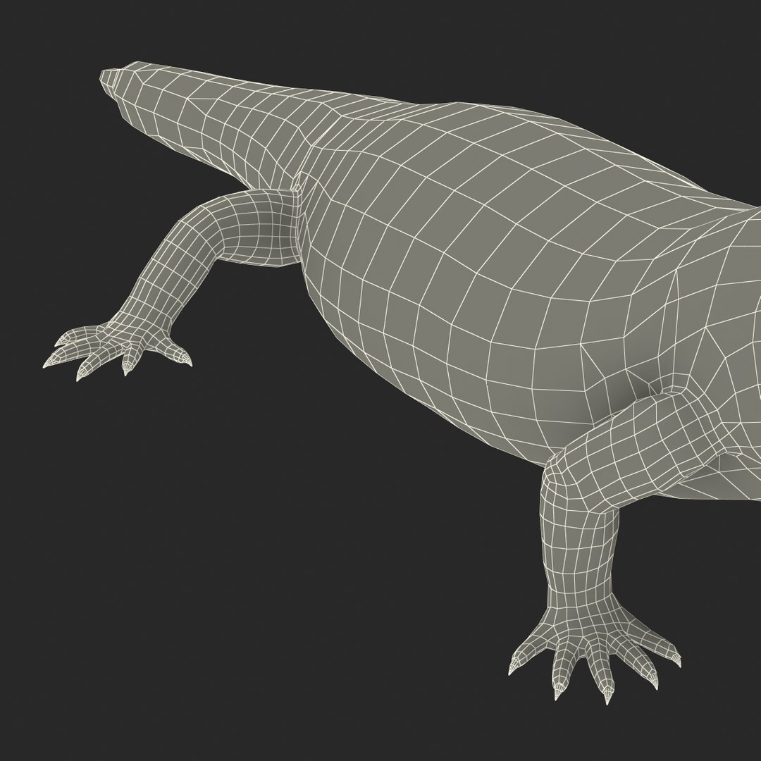 3d Model Blue Tongued Skink Pose