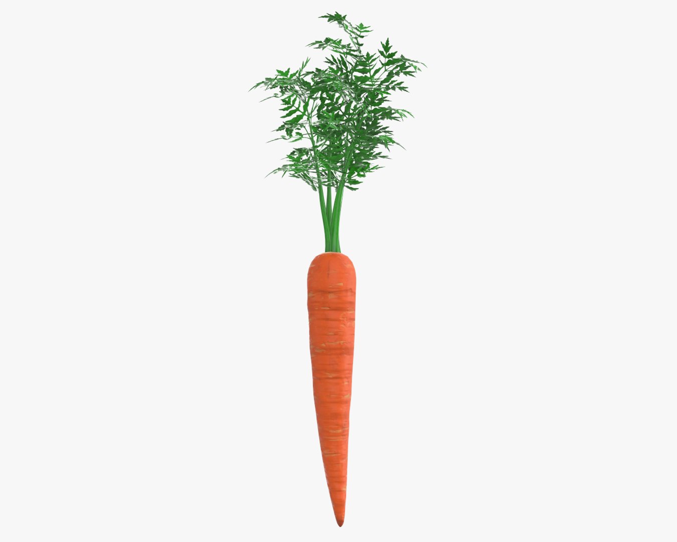 3D Carrot - TurboSquid 1389022
