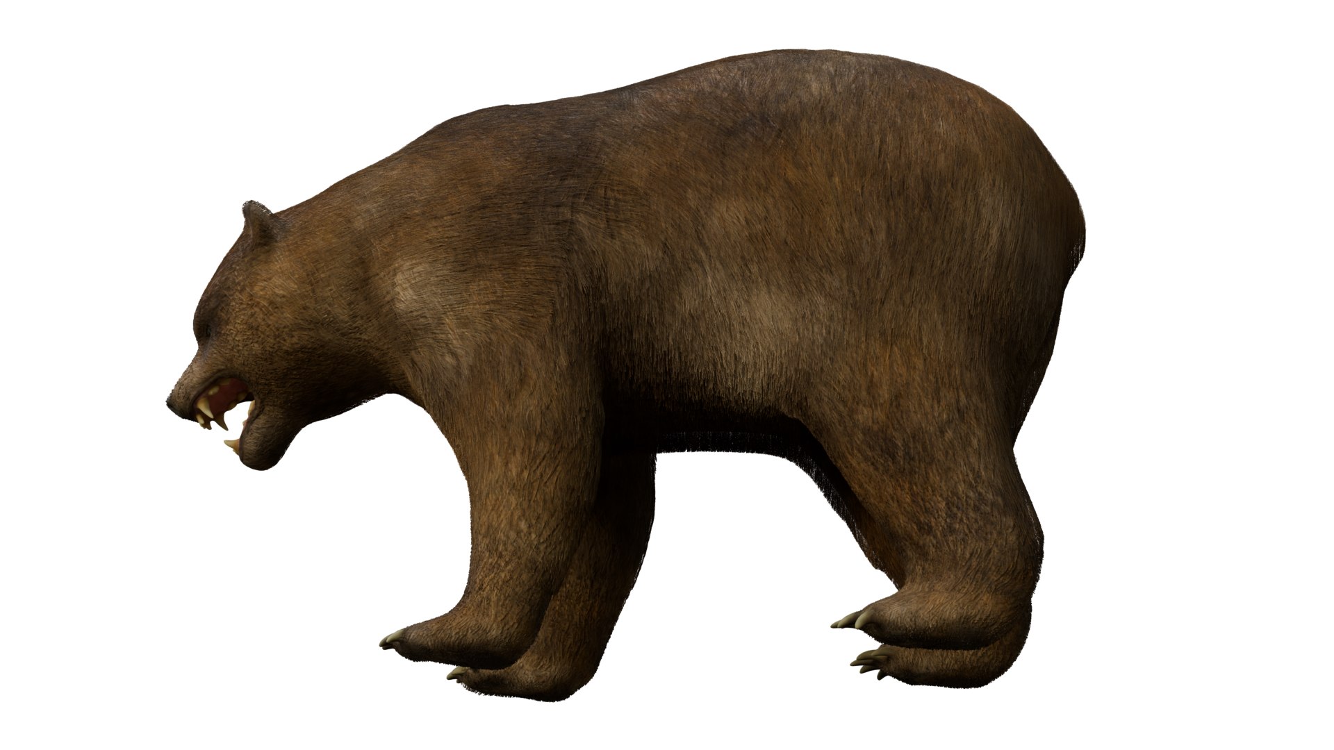 Realistic Bear 3D Model Game-Ready High Quality Asset 3D Model ...
