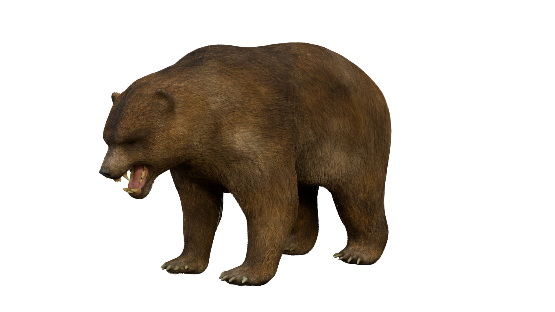 Realistic Bear 3D Model Game-Ready High Quality Asset 3D Model ...