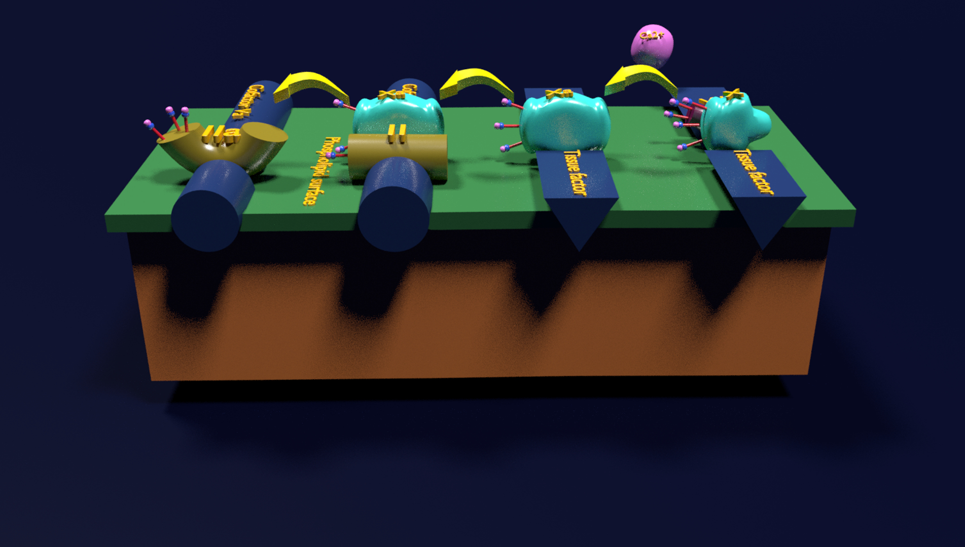 3D Blood Coagulation Cascade Pathways - TurboSquid 1480547