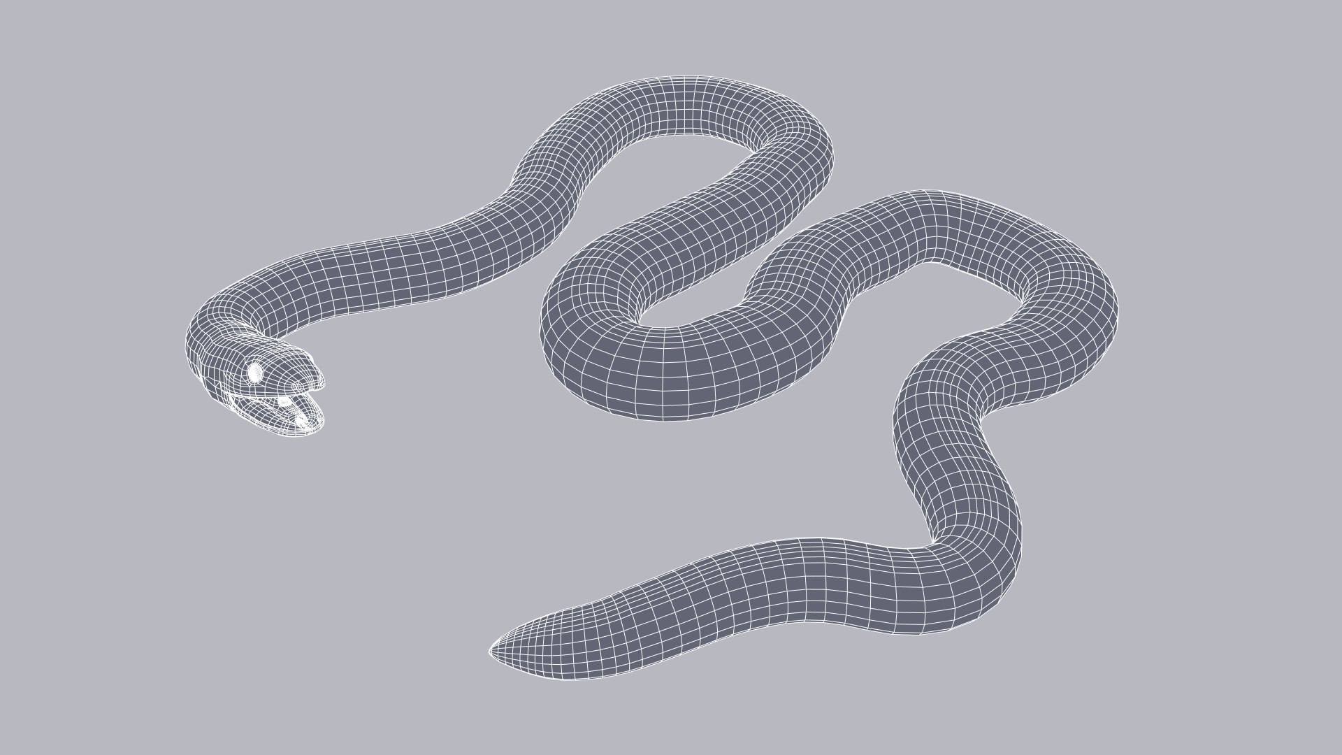 Calabar Python - Static Poses 3D - TurboSquid 2020567