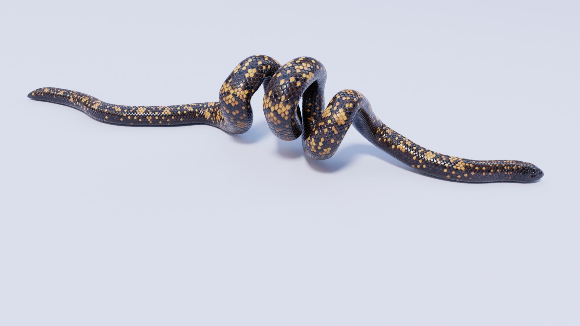 Calabar Python - Static Poses 3D - TurboSquid 2020567