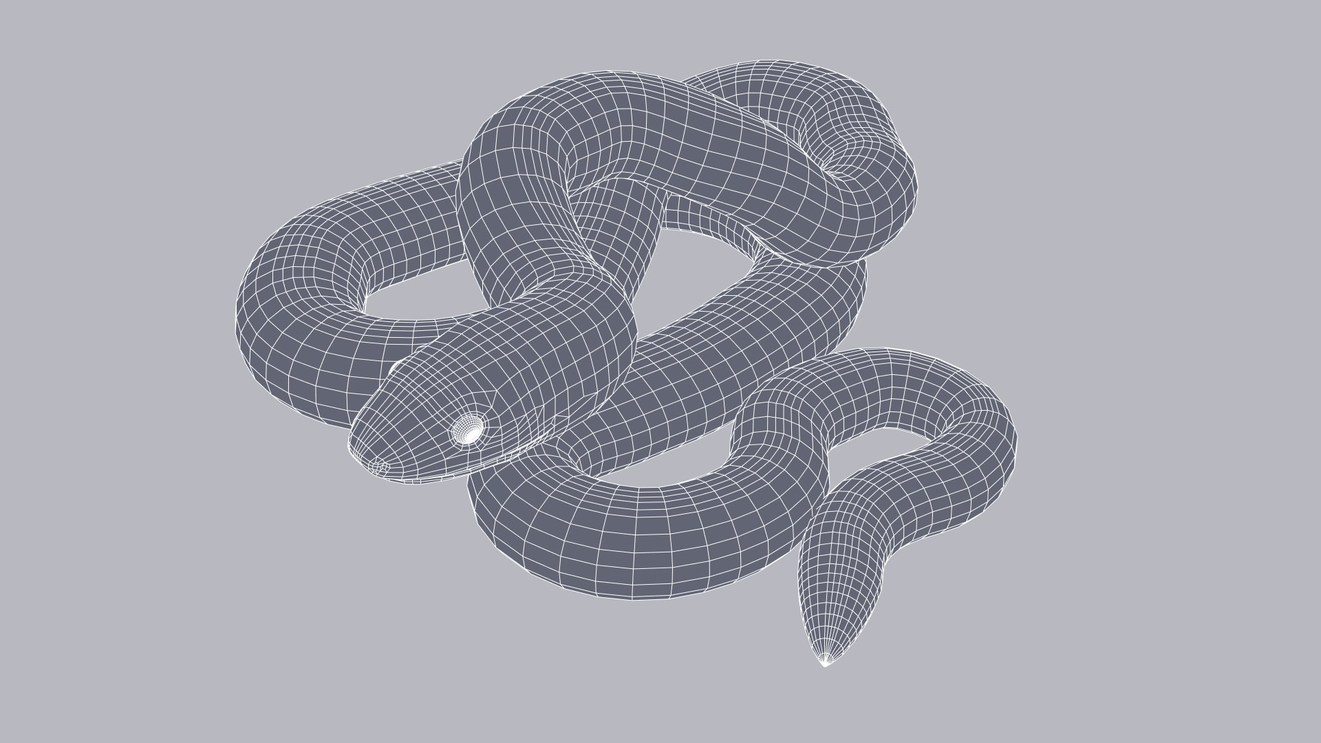 Calabar Python - Static Poses 3D - TurboSquid 2020567