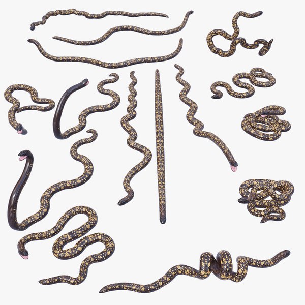 Animal 3D Models for Download | TurboSquid