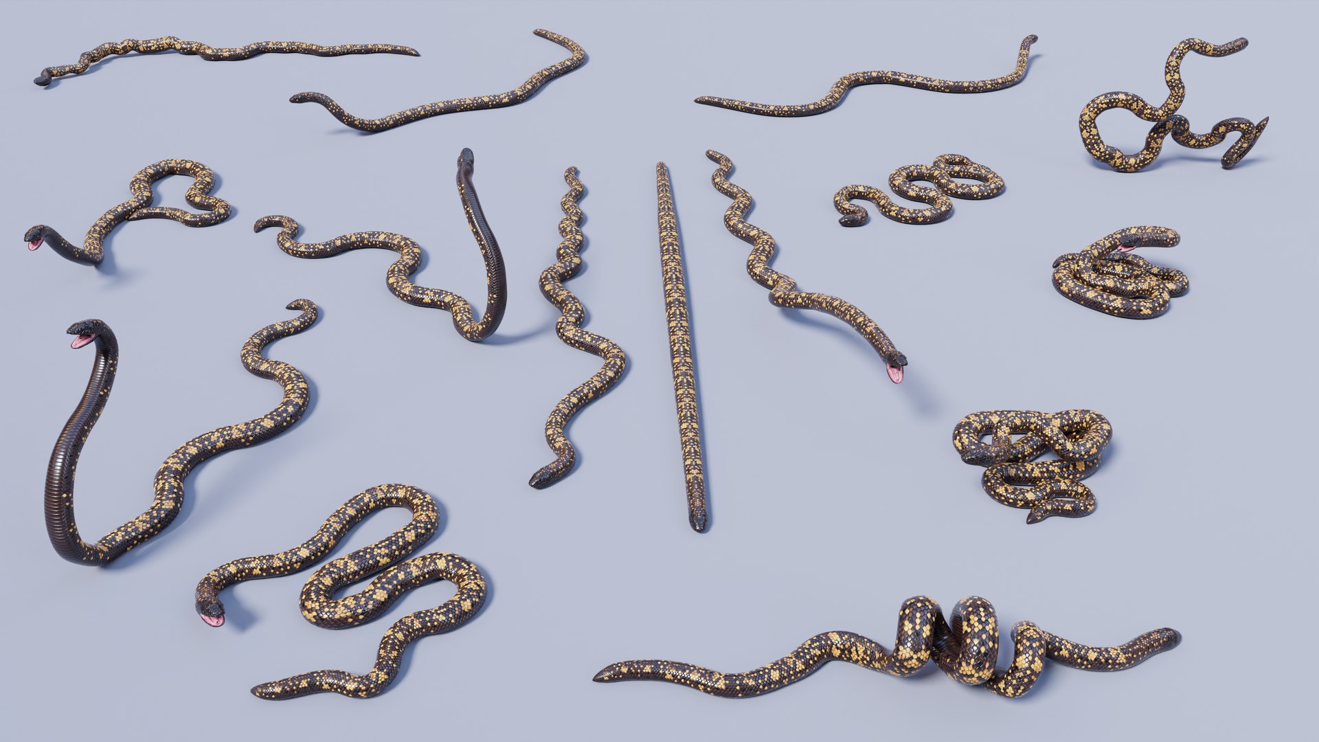 Calabar Python - Static Poses 3D - TurboSquid 2020567