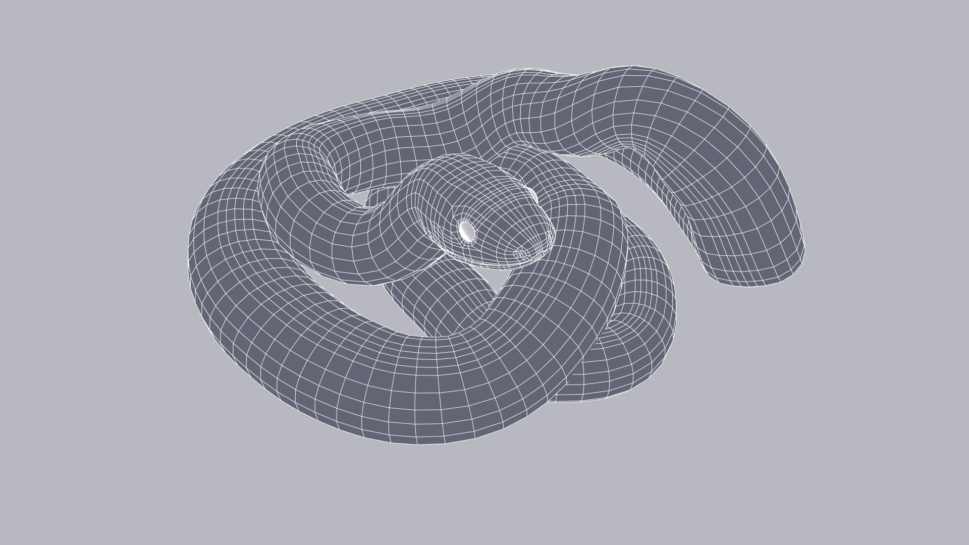 Calabar Python - Static Poses 3D - TurboSquid 2020567