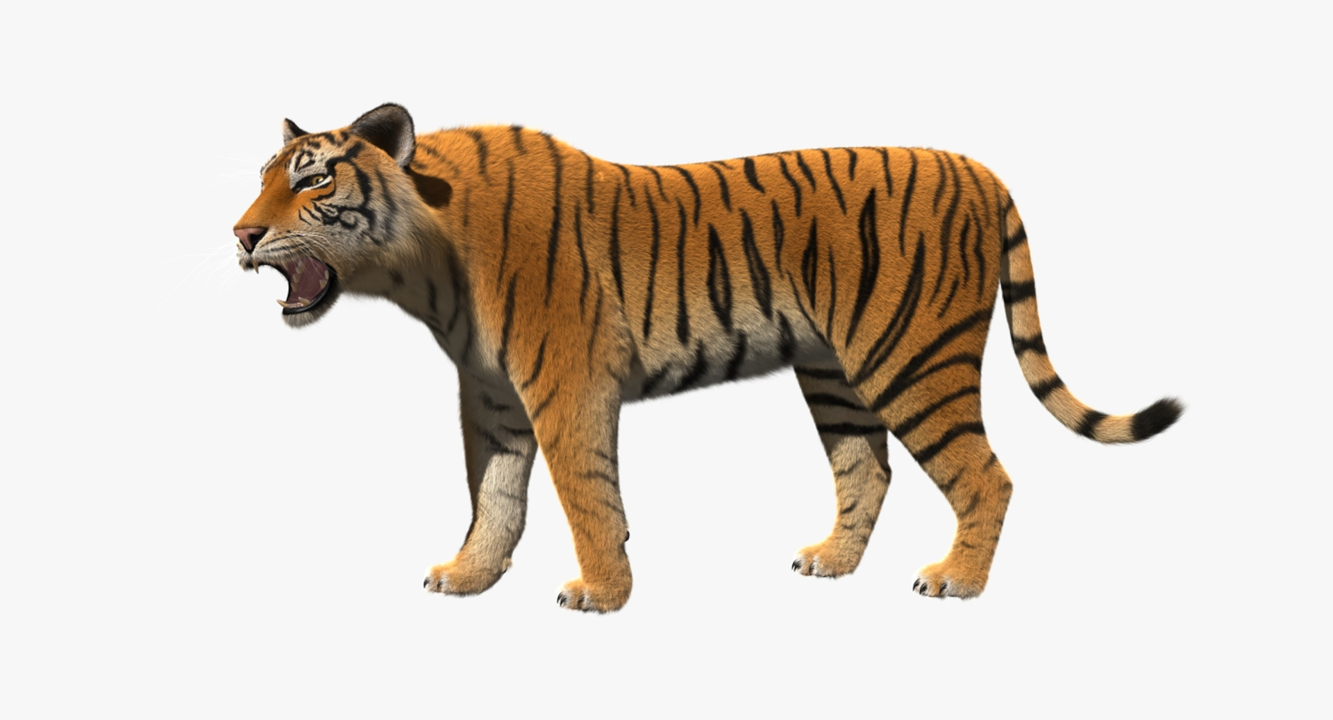 obj tiger shave haircut