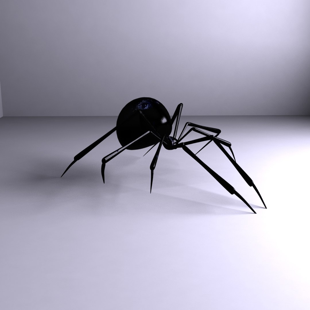 3d Model Spider Video Insect