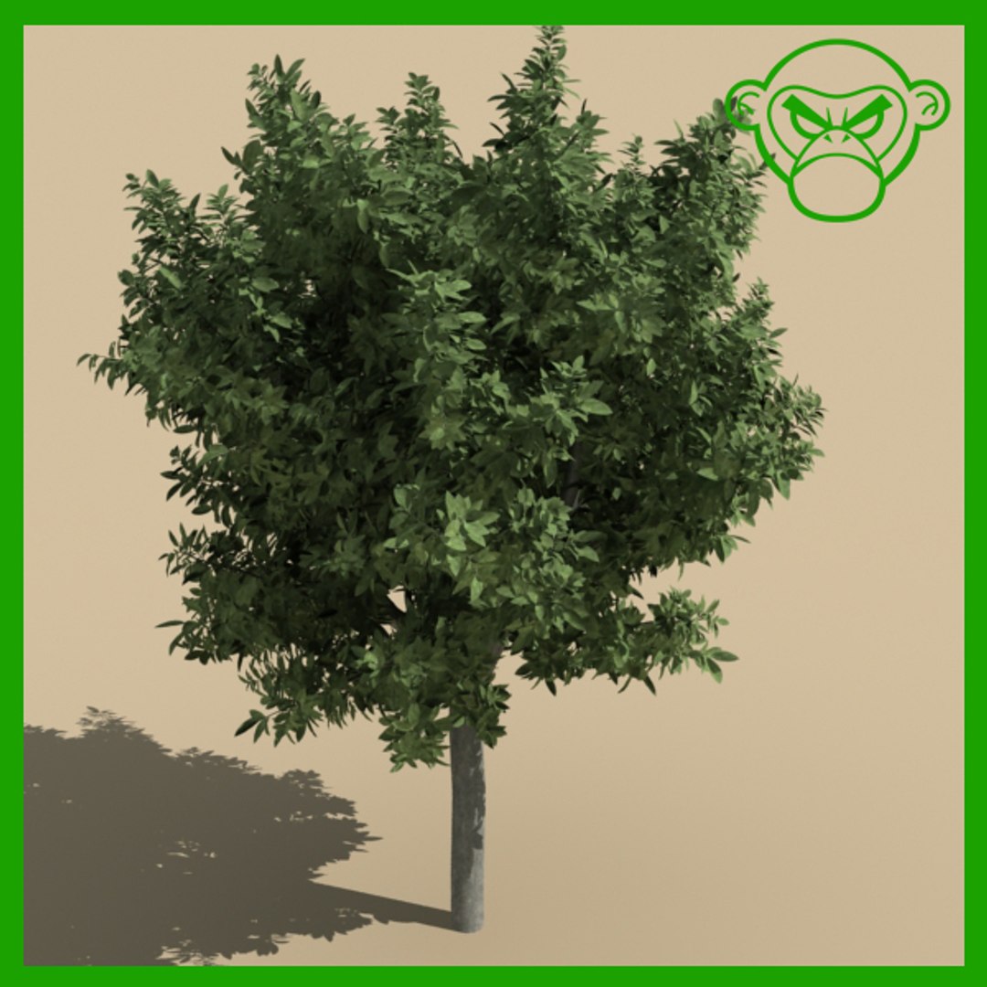Small Tree 3d Max