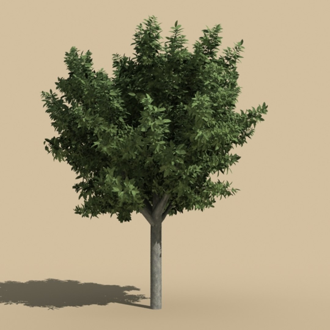 Small Tree 3d Max