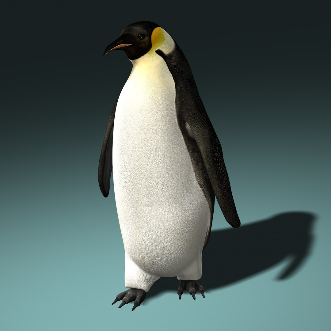 3d Penguin Rigged Model