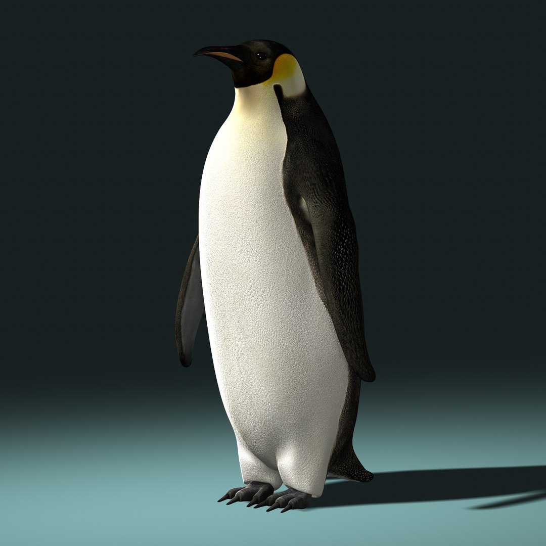 3d Penguin Rigged Model