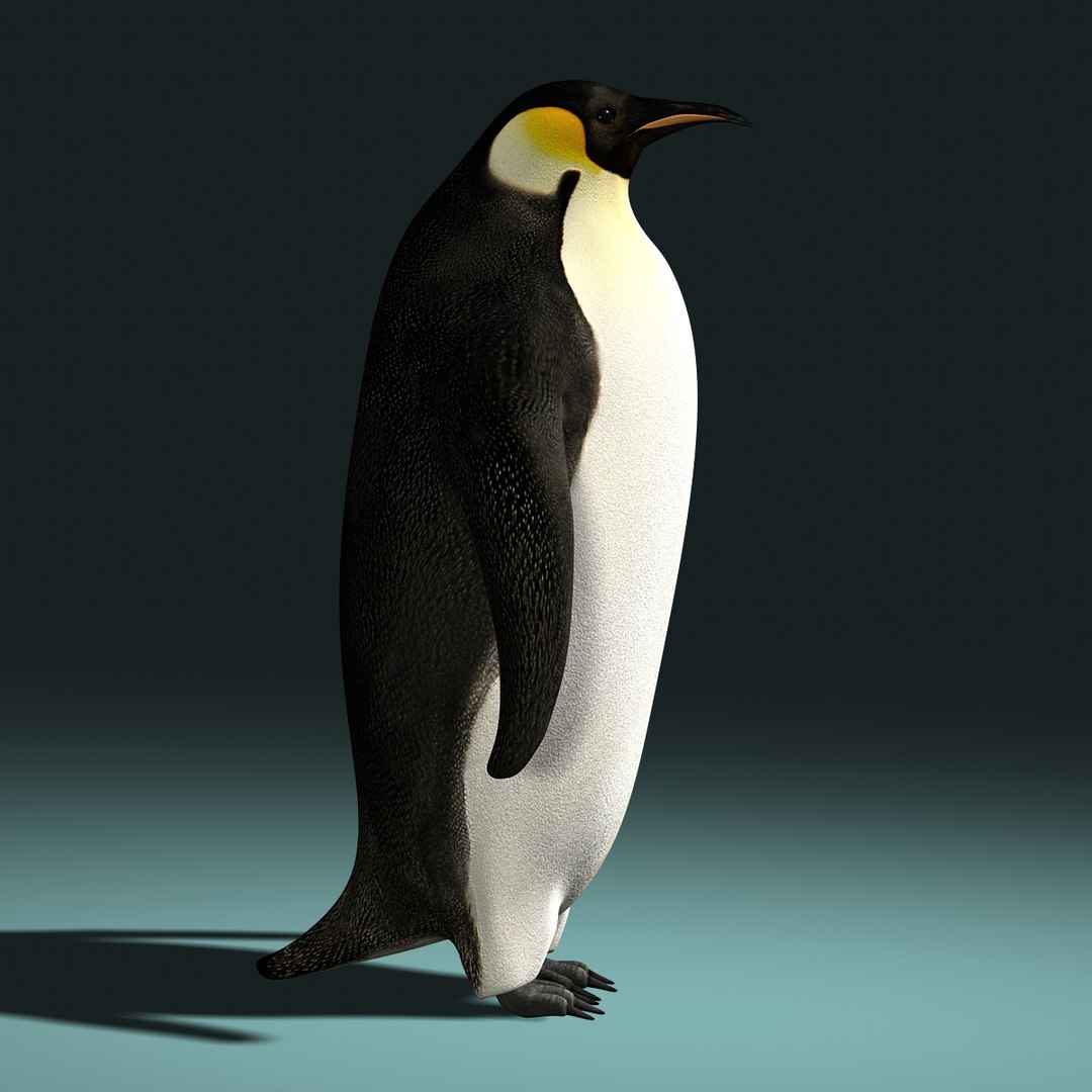 3d Penguin Rigged Model
