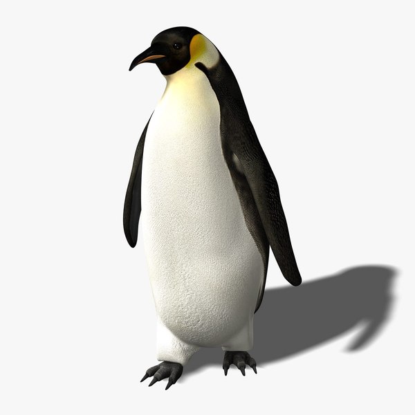 Penguin 3D Models for Download | TurboSquid
