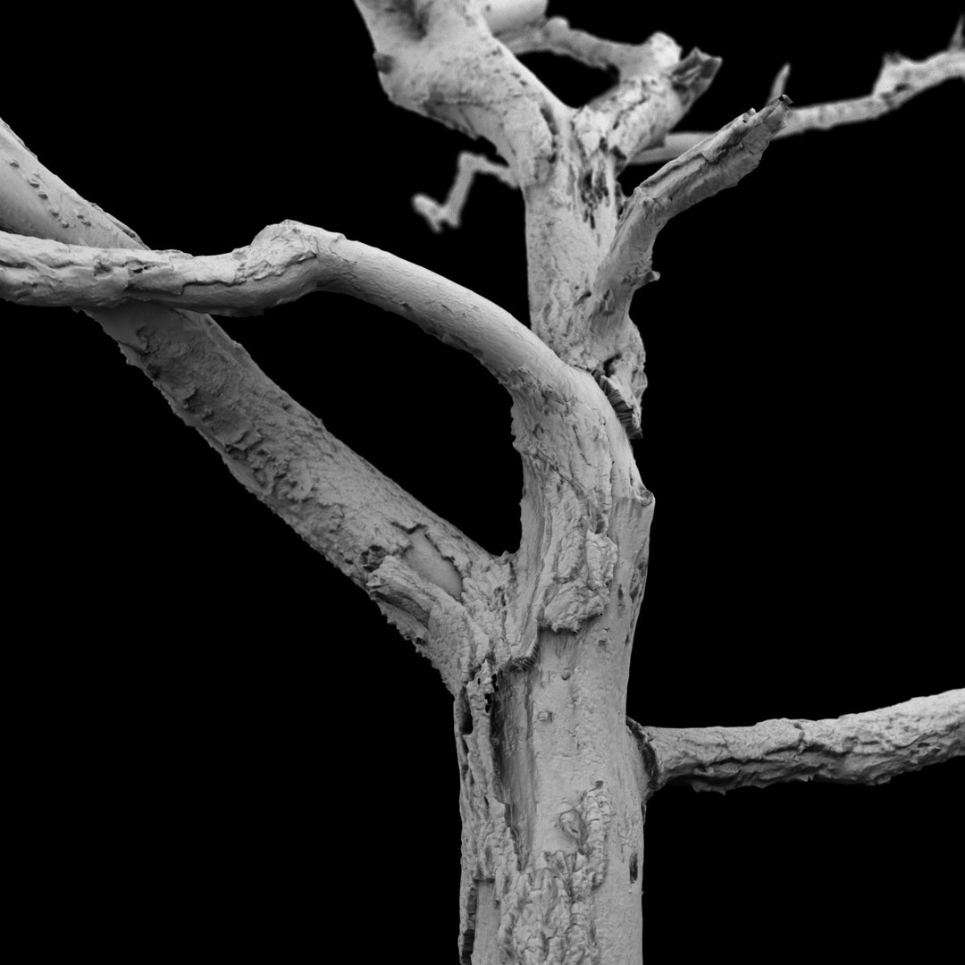 3d Model Environment Asset