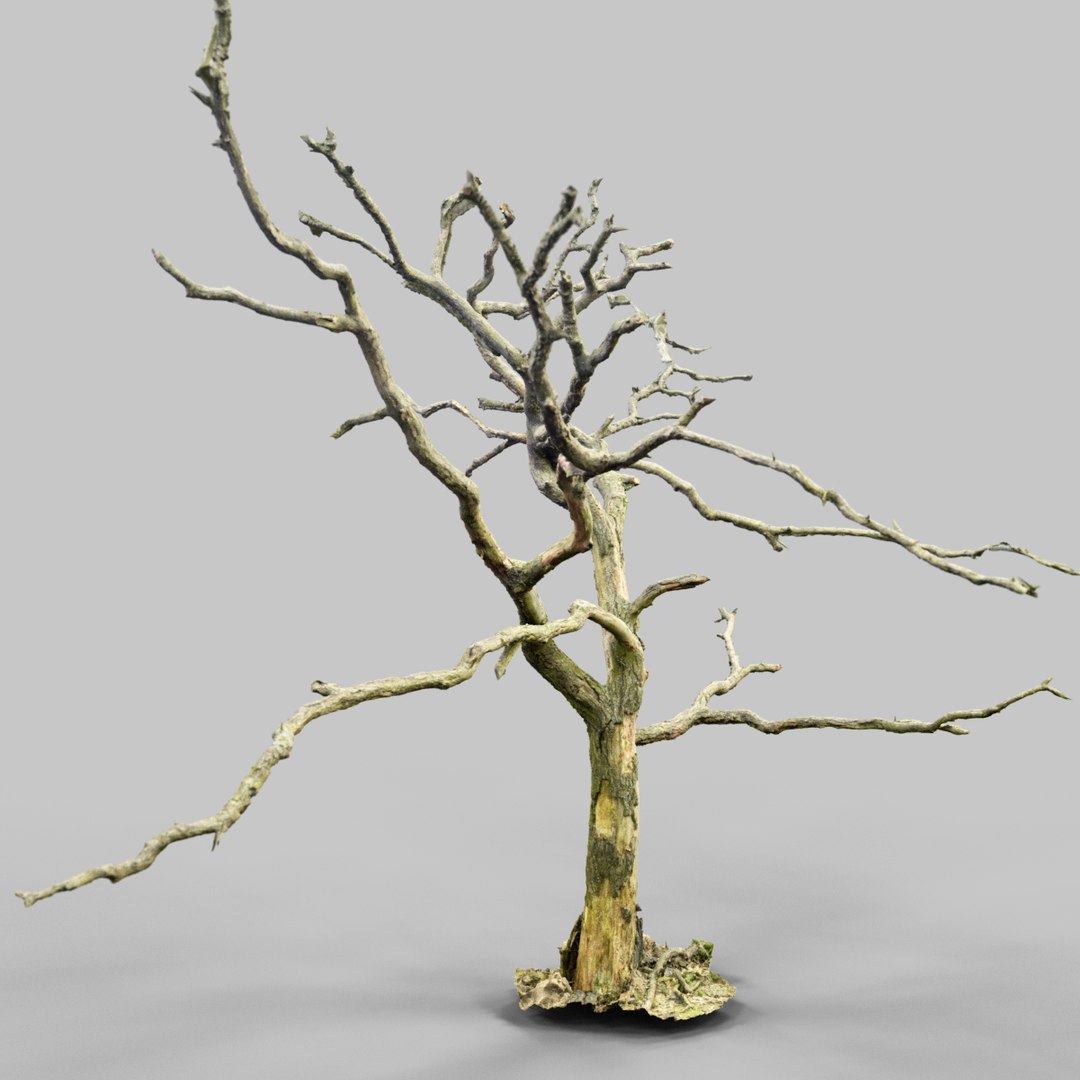 3d Model Environment Asset