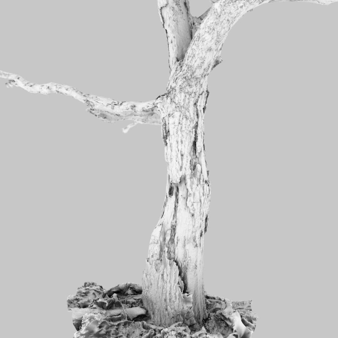 3d Model Environment Asset