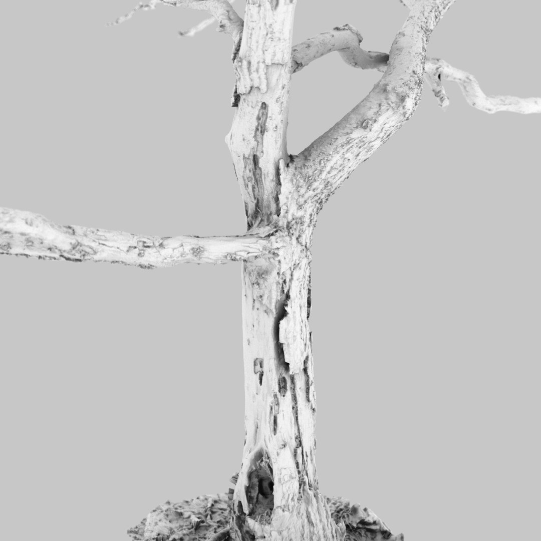 3d Model Environment Asset