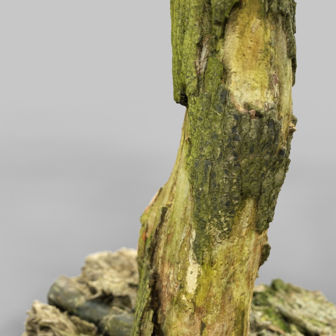 3d Model Environment Asset