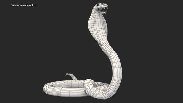 cobra snake 3d max