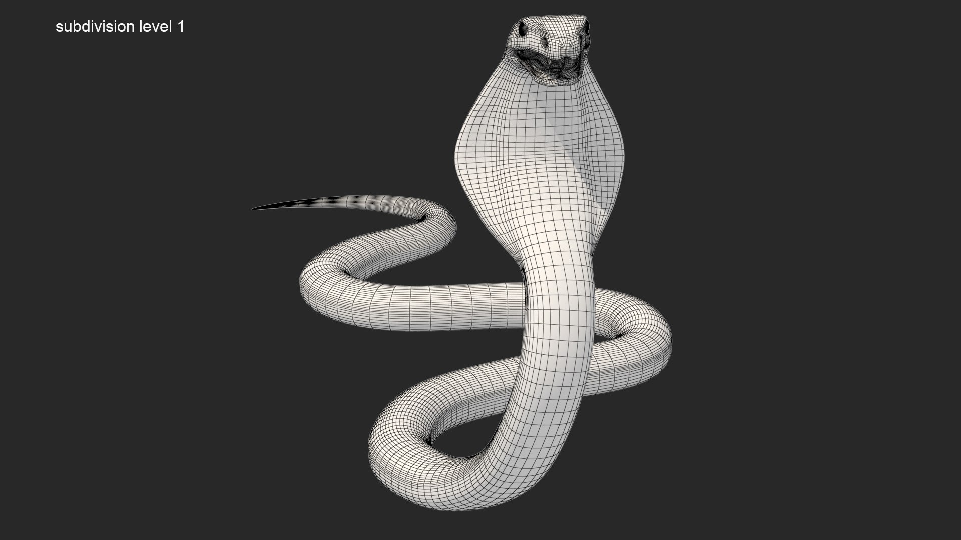Cobra Snake 3d Max