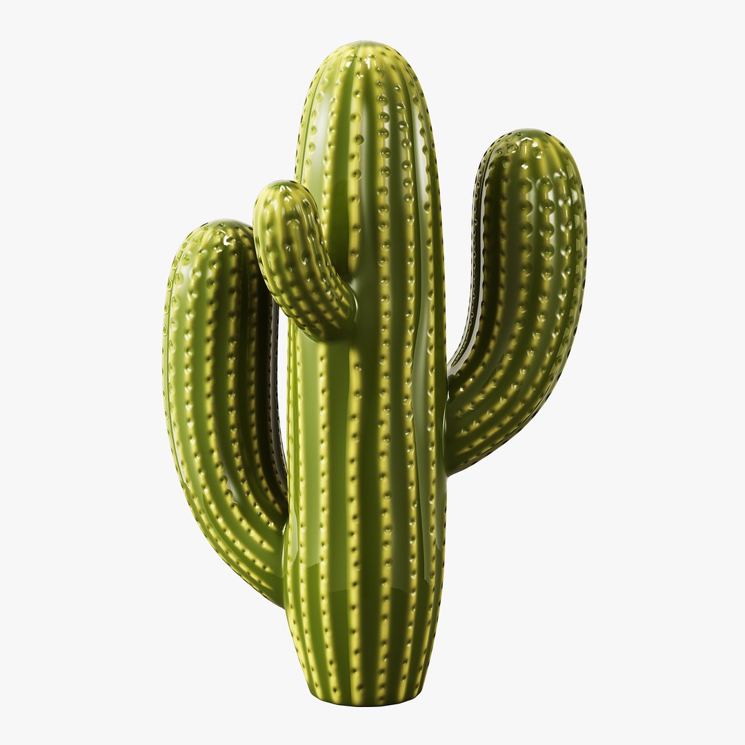 3D Model Realistic Ceramic Cactus Set - TurboSquid 1596030