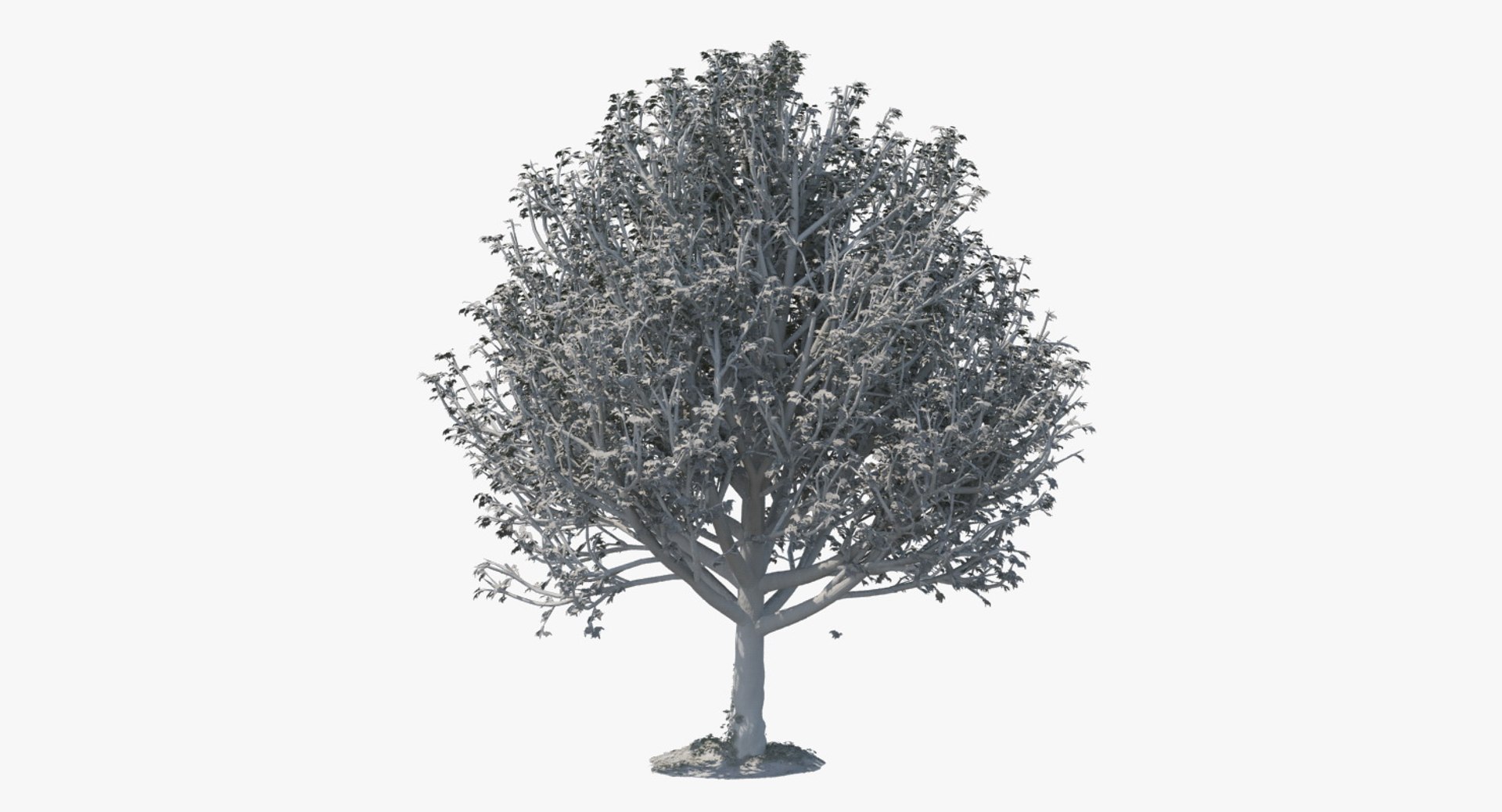 Realistic Tree 3D - TurboSquid 1209590