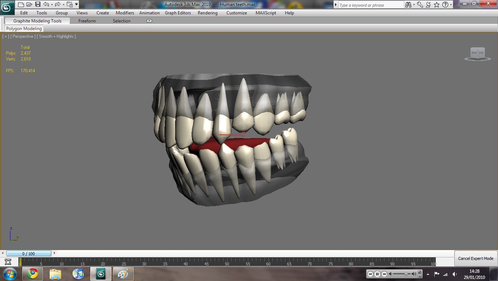 3d Model Of Human Teeth