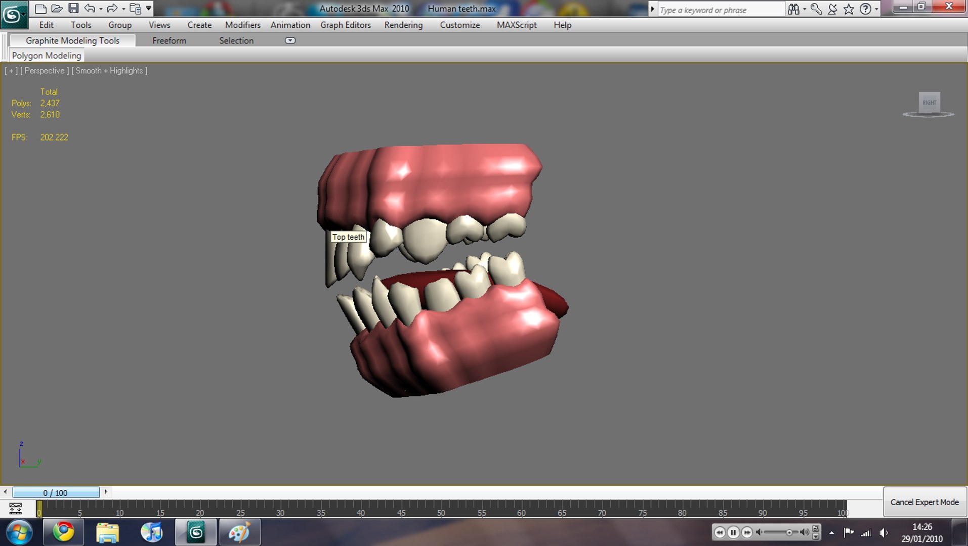 3d Model Of Human Teeth