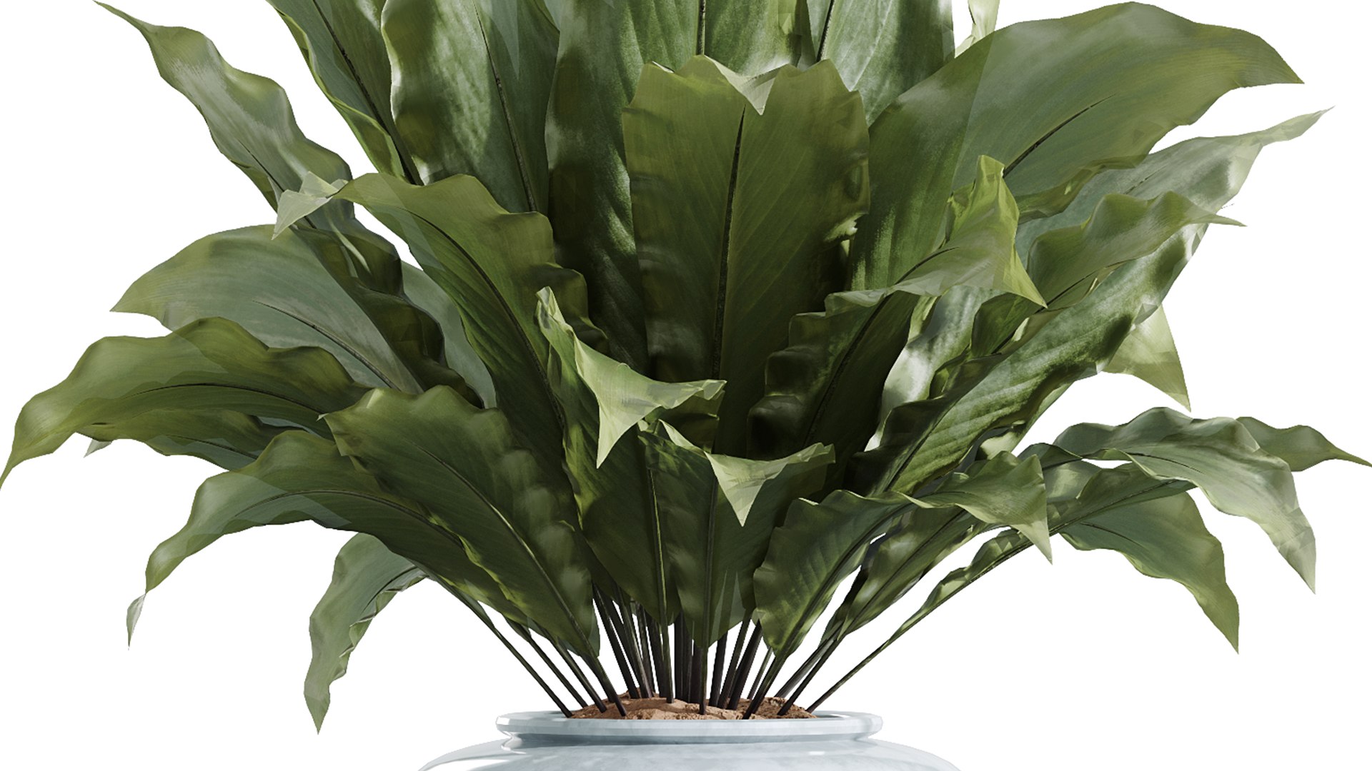 AV Indoor Plants Set 248 Pelagio Palm And Yucca Elephantipes And Cuban ...