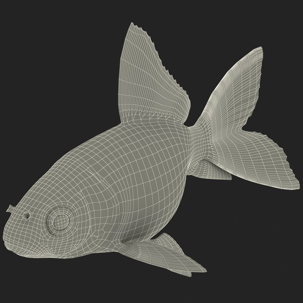 goldfish 3 3d c4d