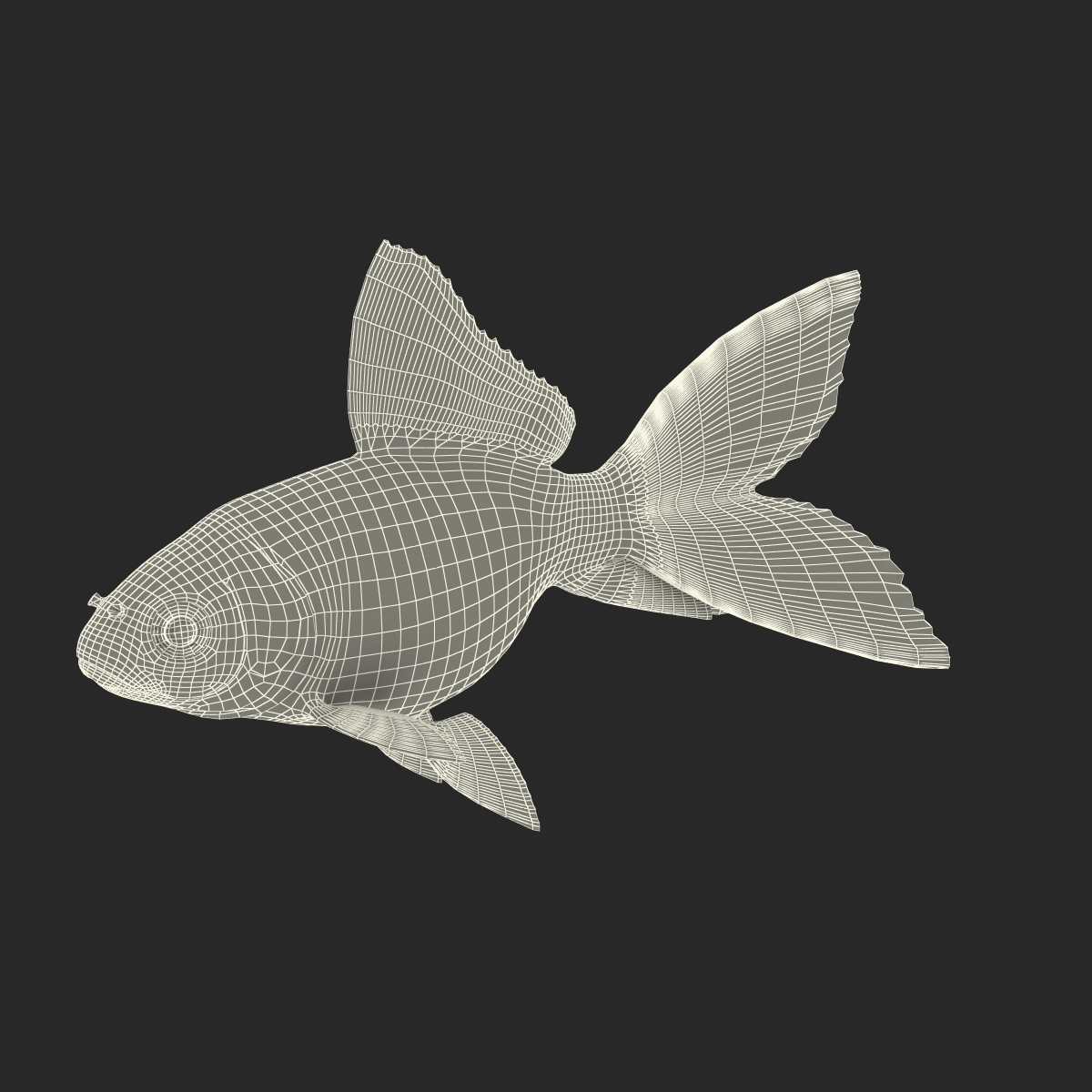goldfish 3 3d c4d