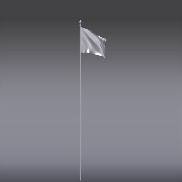 3D flag animation model - TurboSquid 1323345