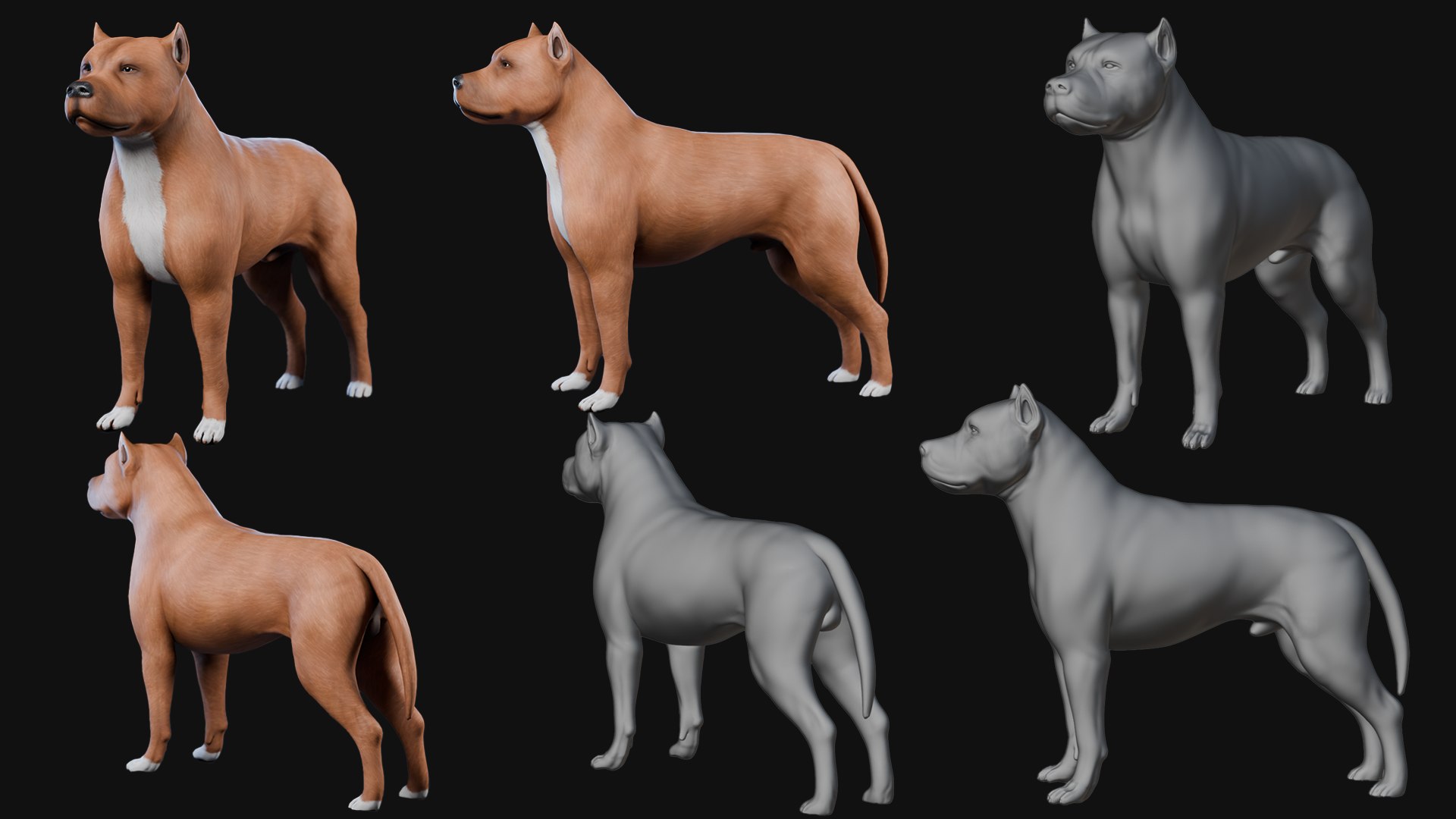 3D Model Dog Staffordshire Bull Terrier - TurboSquid 2274813
