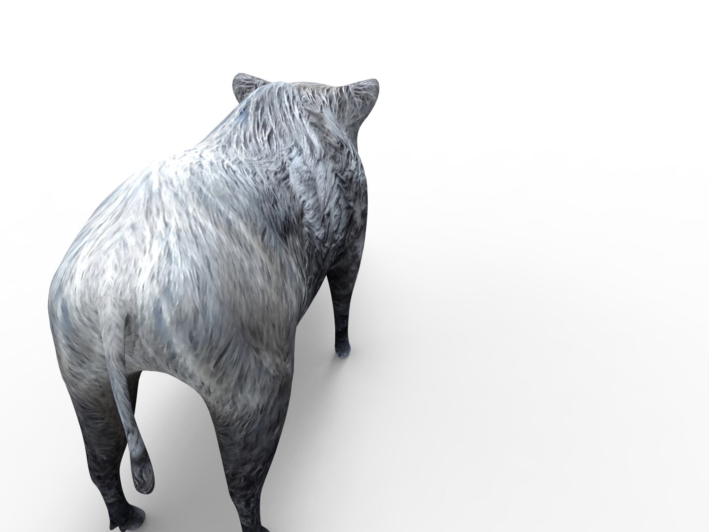 Wild Boar 3D Model - TurboSquid 1239670
