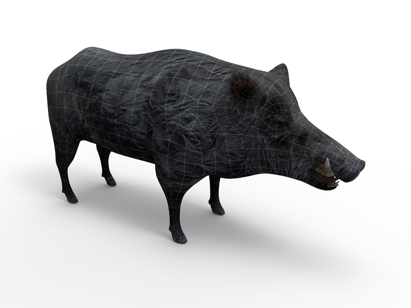 Wild Boar 3D Model - TurboSquid 1239670