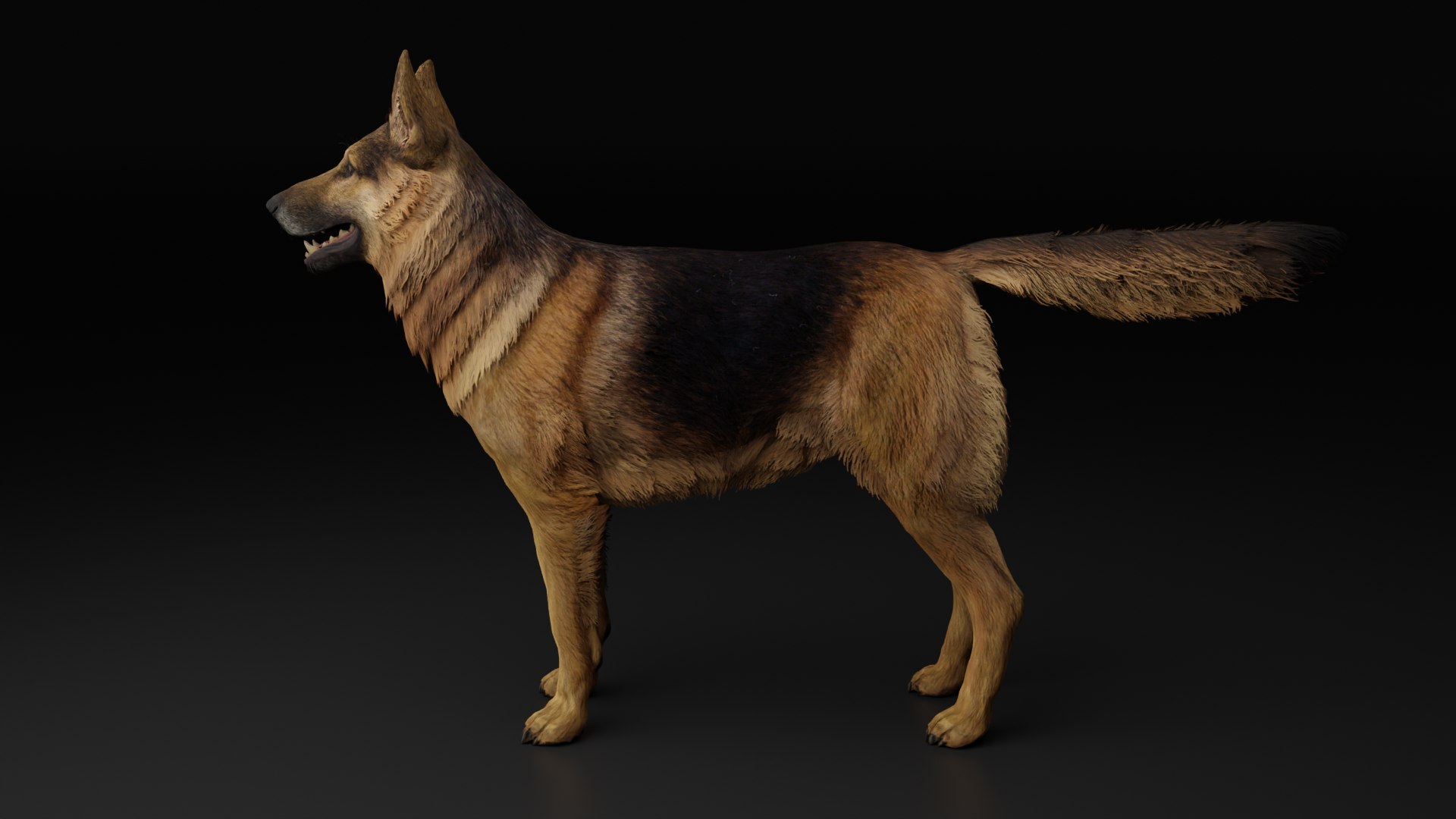 German Shepherd Dog 3D Model - TurboSquid 1904044
