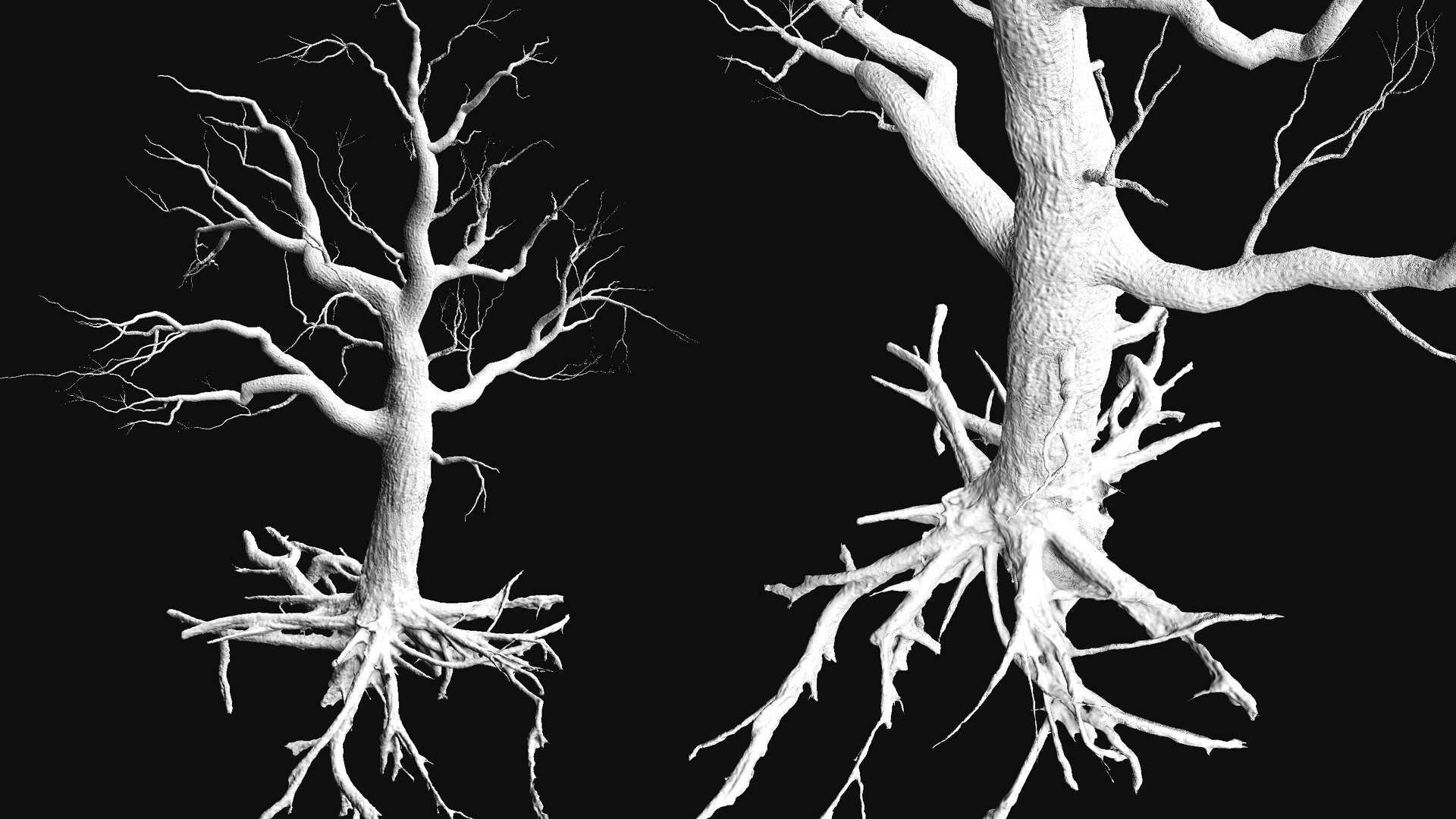 Tree Pine Roots Branches Model Photogrammetry 3D Model - TurboSquid 2339393