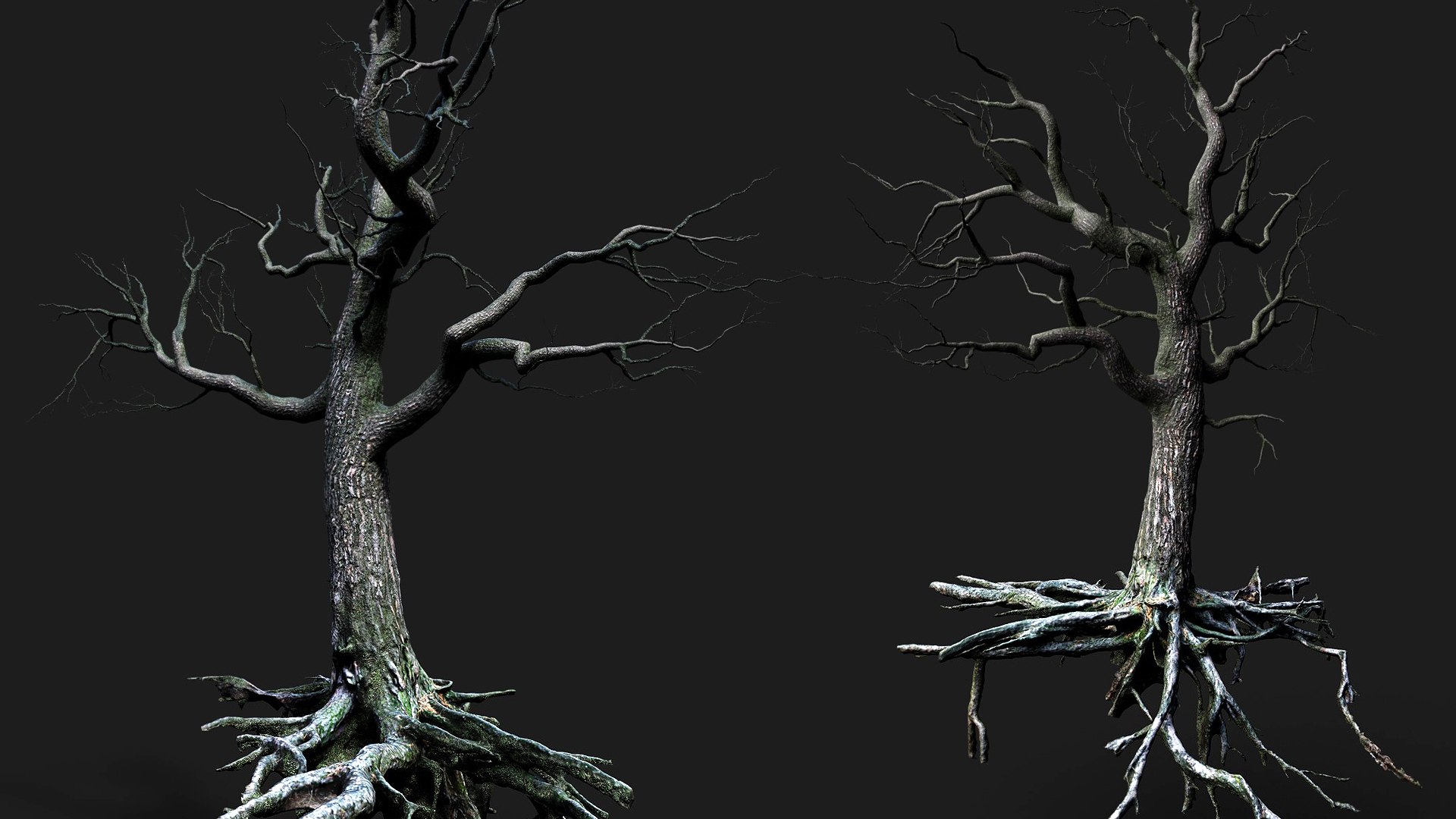 Tree Pine Roots Branches Model Photogrammetry 3D Model - TurboSquid 2339393