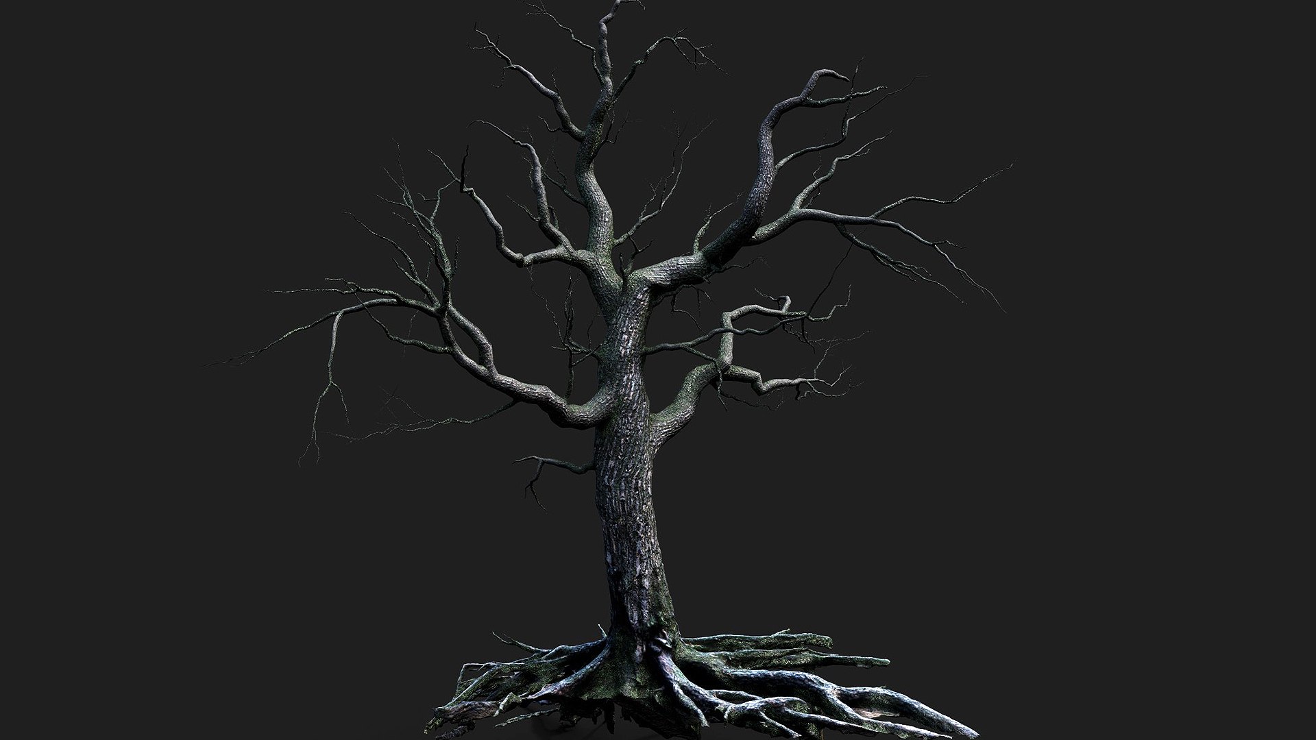 Tree Pine Roots Branches Model Photogrammetry 3D Model - TurboSquid 2339393