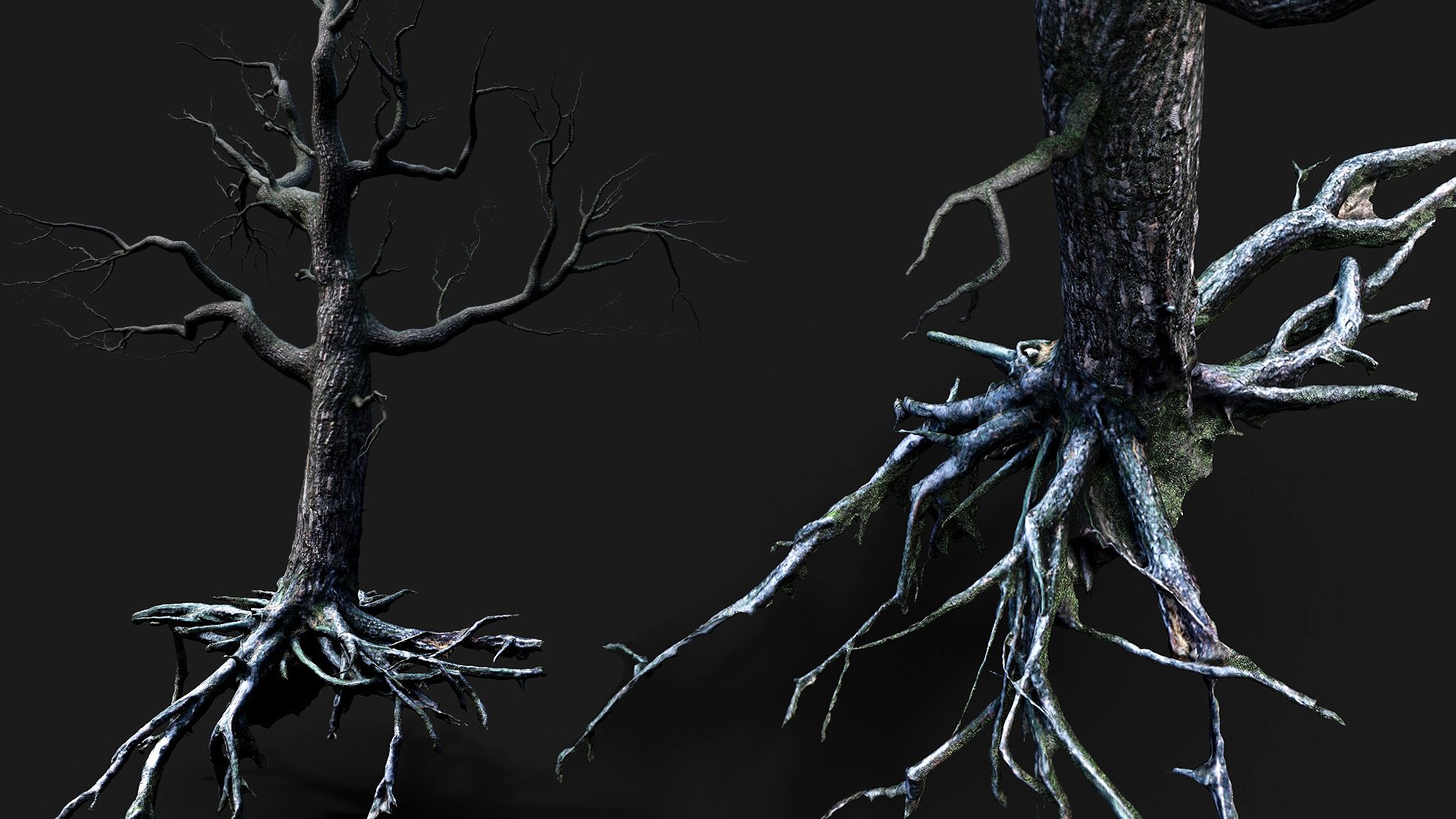 Tree Pine Roots Branches Model Photogrammetry 3D Model - TurboSquid 2339393