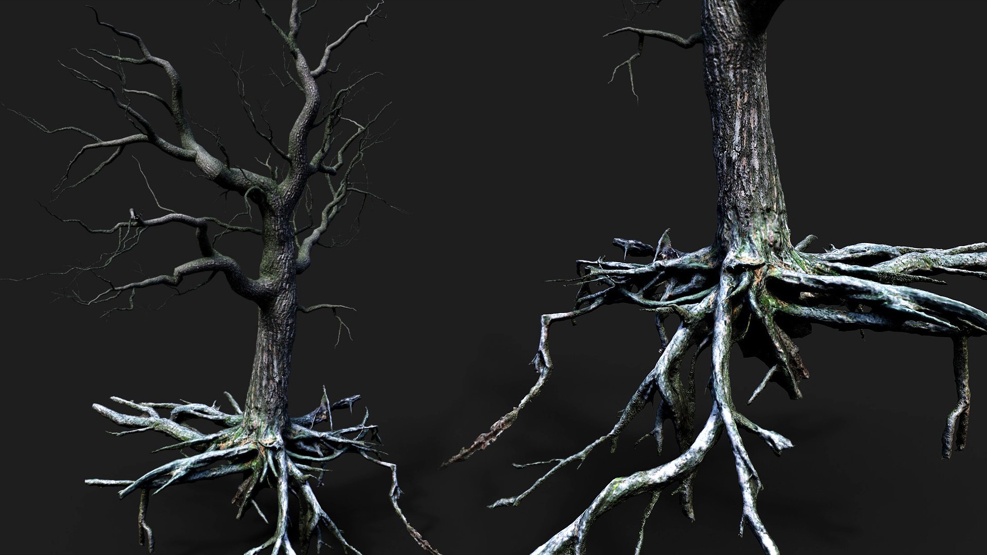 Tree Pine Roots Branches Model Photogrammetry 3D Model - TurboSquid 2339393